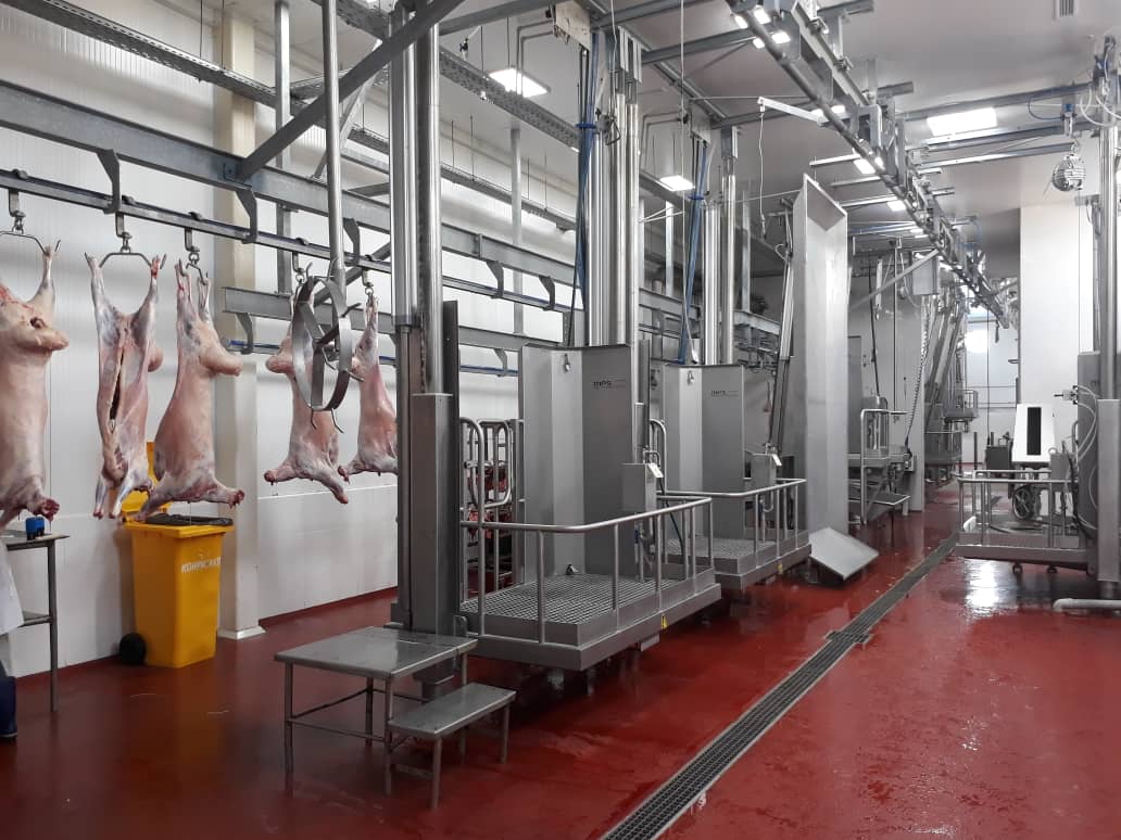 Lamb export development